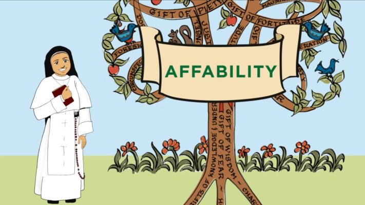 Affability » Openlight Media Plus