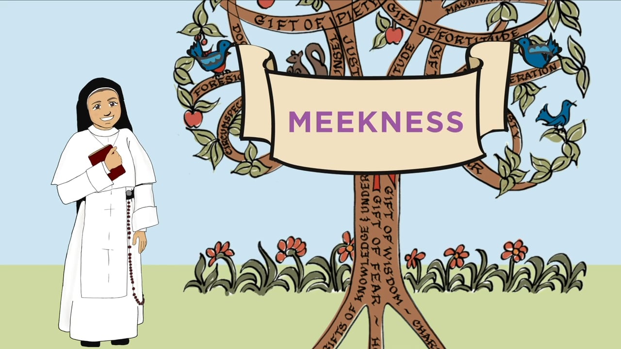 Meekness » Openlight Media Plus