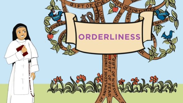 Orderliness » Openlight Media Plus